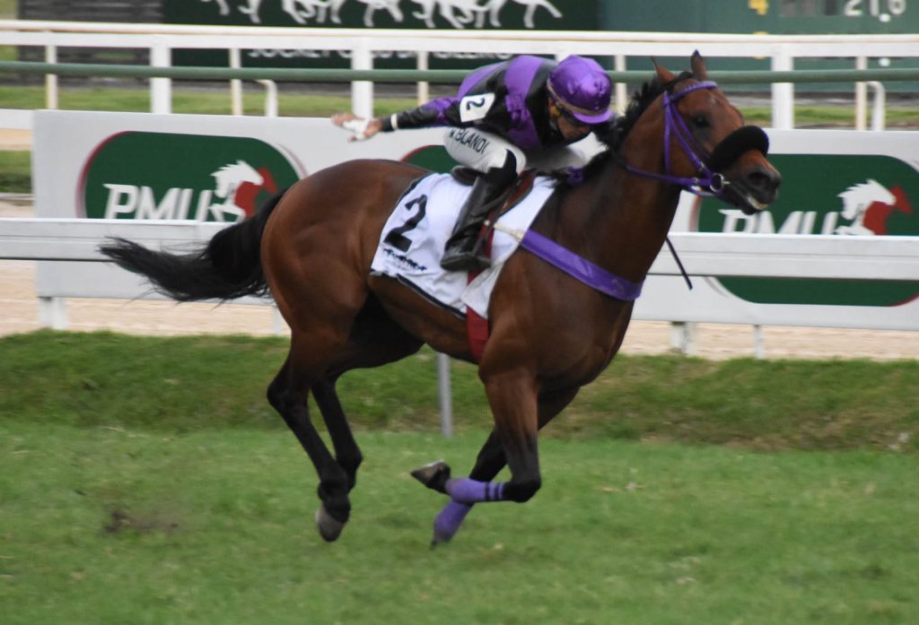 Fillmore e Grand Prix encaram Grupo 2 de muita qualidade - Haras Santa ...