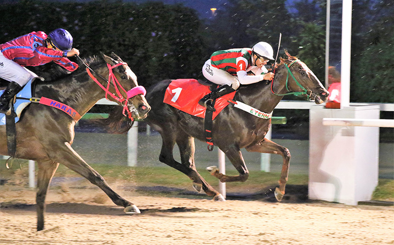 Mais dois pontos na estatística carioca - Haras Santa Maria de Araras
